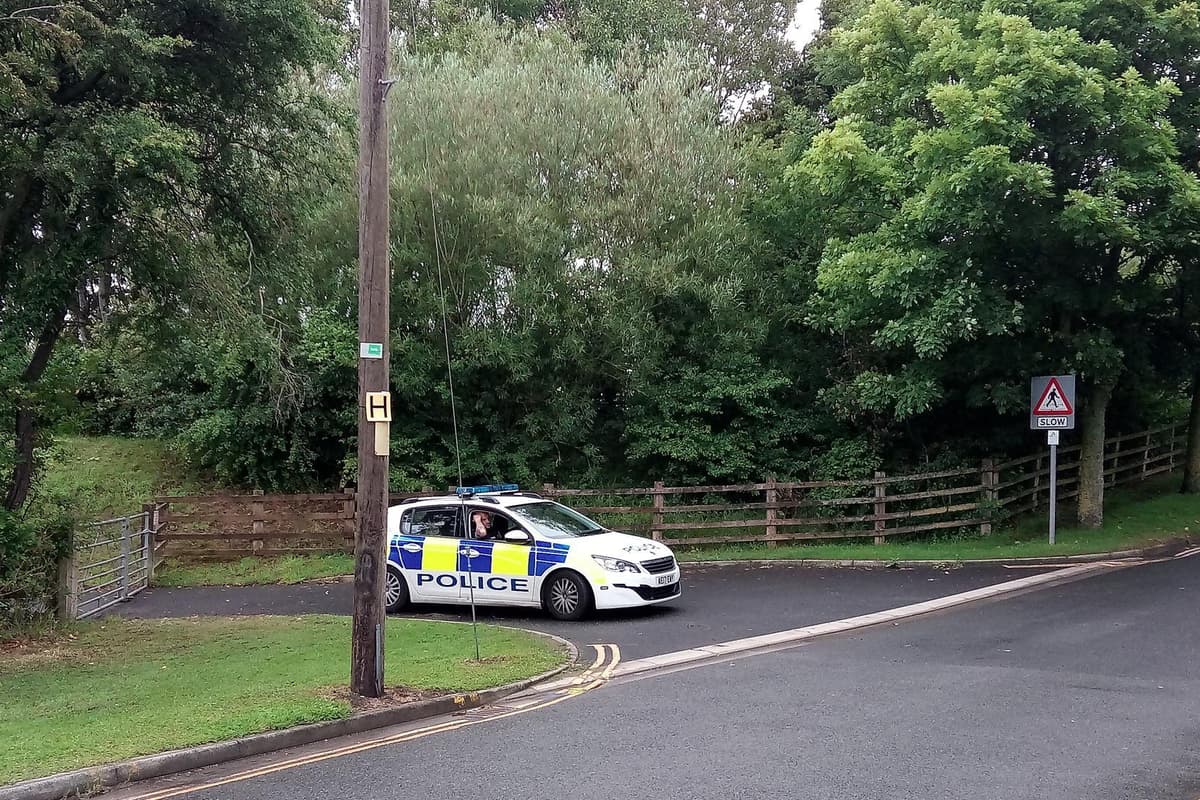 Thornton Man Arrested In Police Crackdown On Illegal Raves Is Released